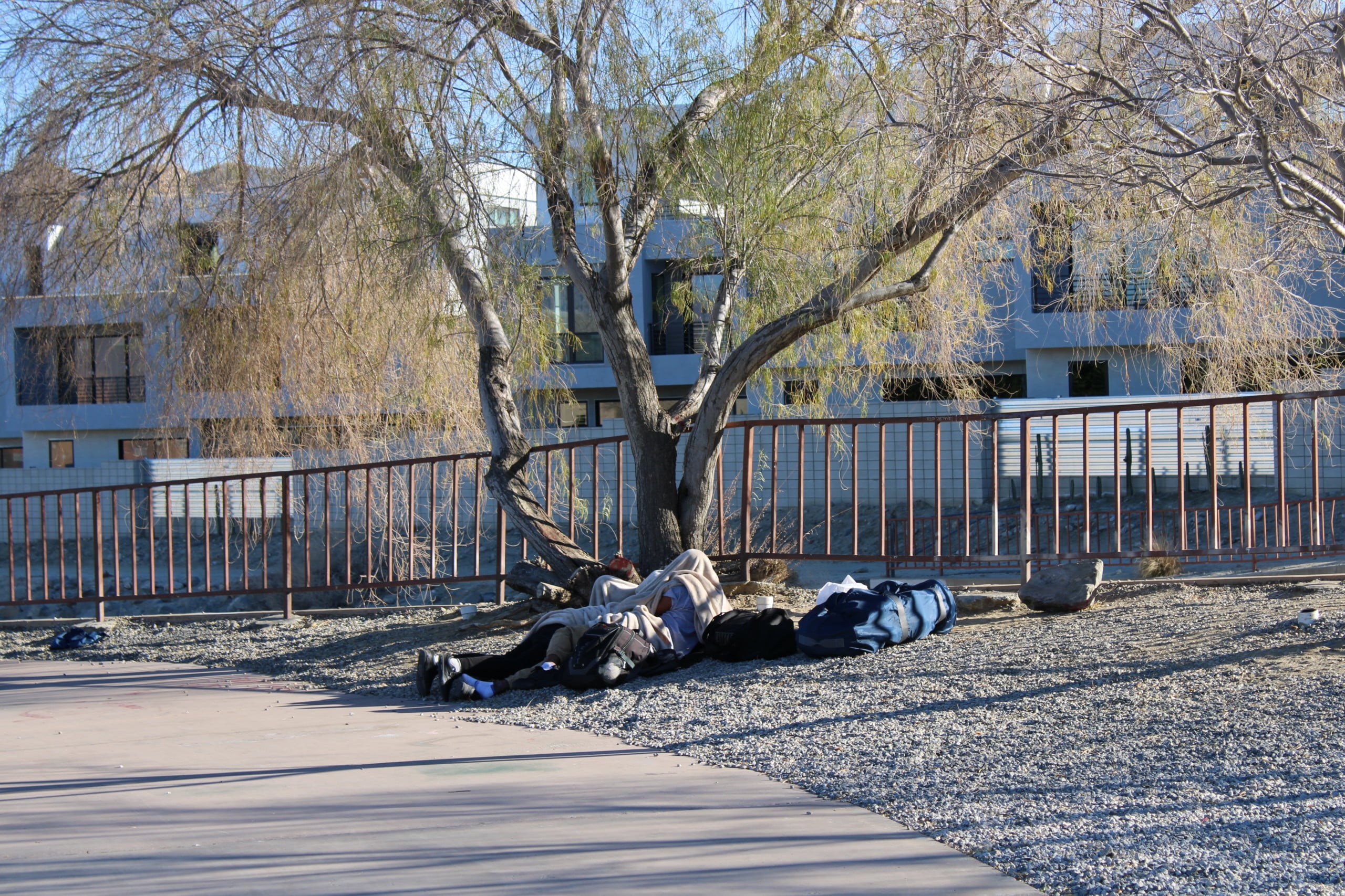 Daily Briefing: Counting the homeless, a preview of tonight's Council ...