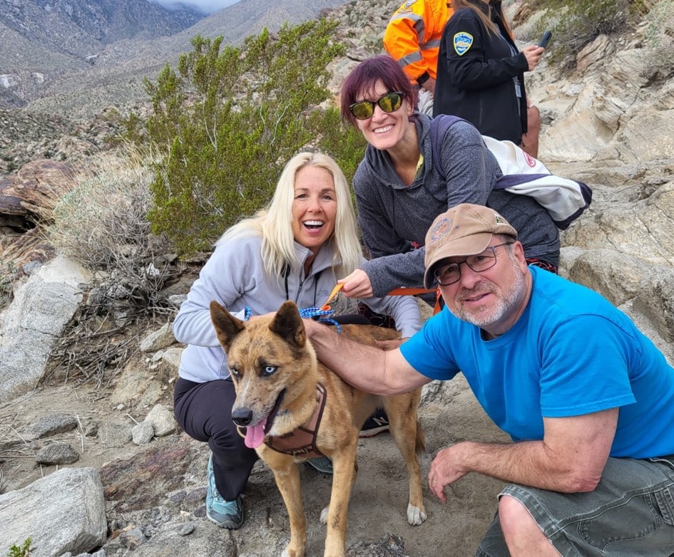 Daring dog rescue plays out in cliffs of Oswit Canyon ⋆ The Palm ...