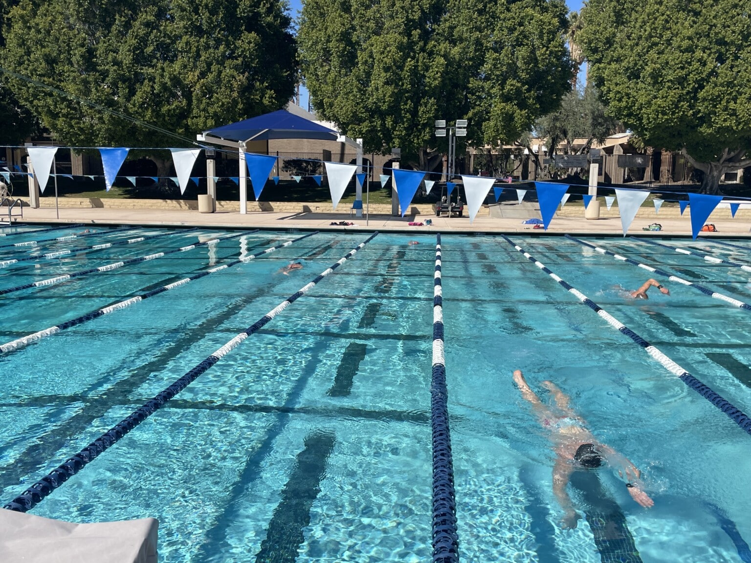 Solar solutions proposed to reduce Swim Center's carbon footprint ⋆ The Palm Springs Post