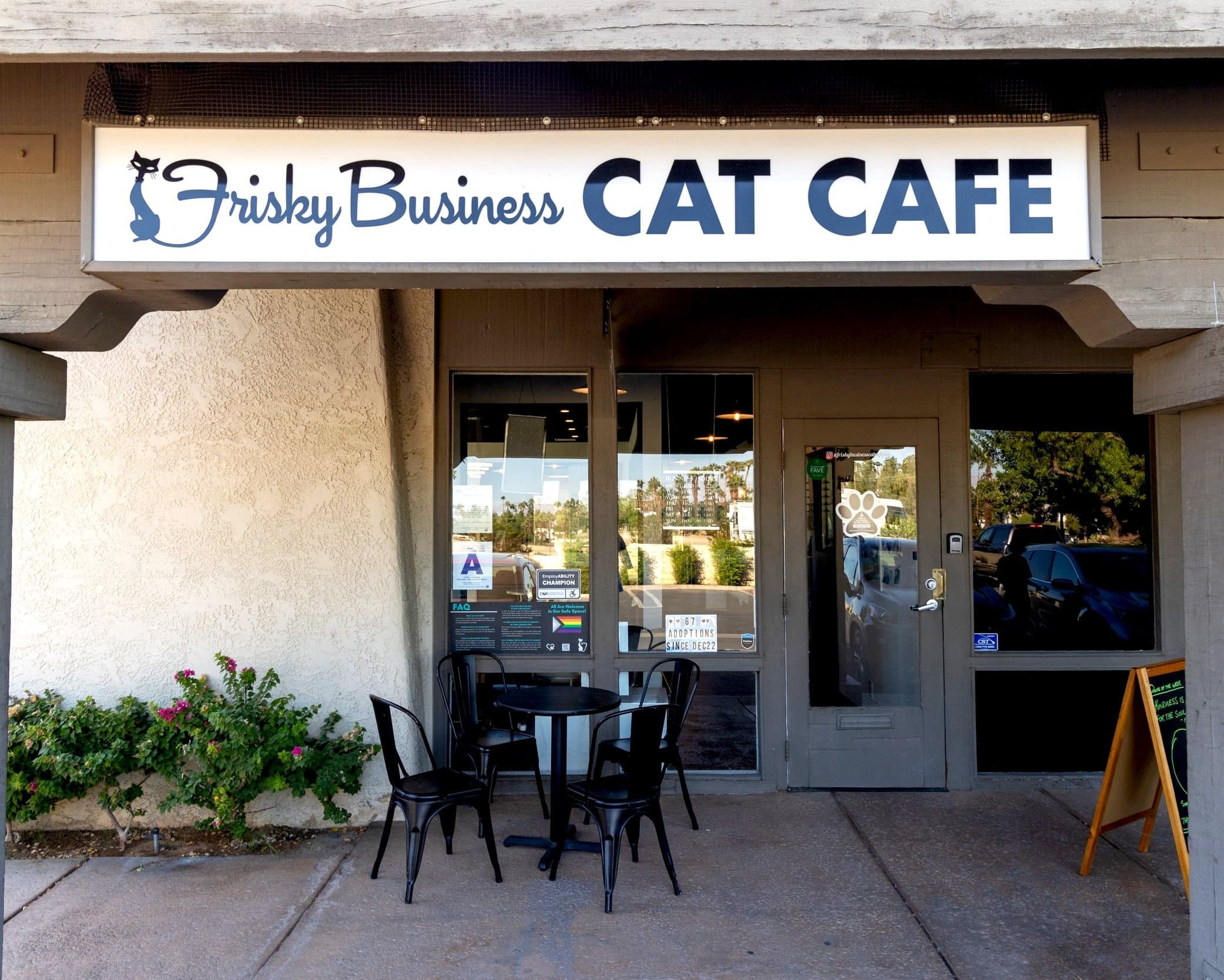 June 21 Daily Briefing: Cat cafe expansion plans, next steps for statue ...