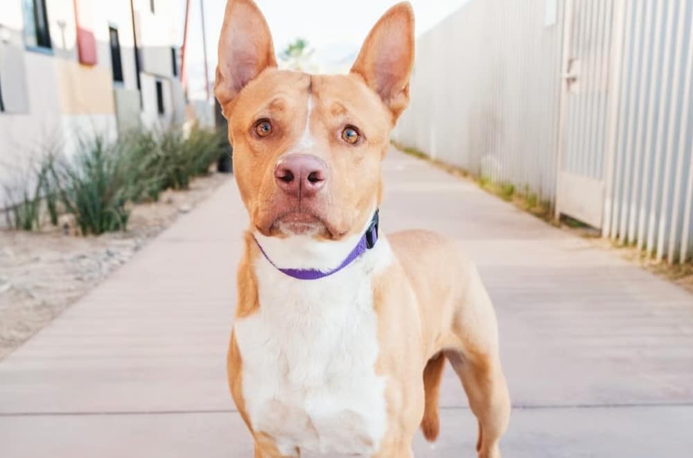 April 16 Daily Briefing: Solving a pantyhose problem, art museum CEO ...